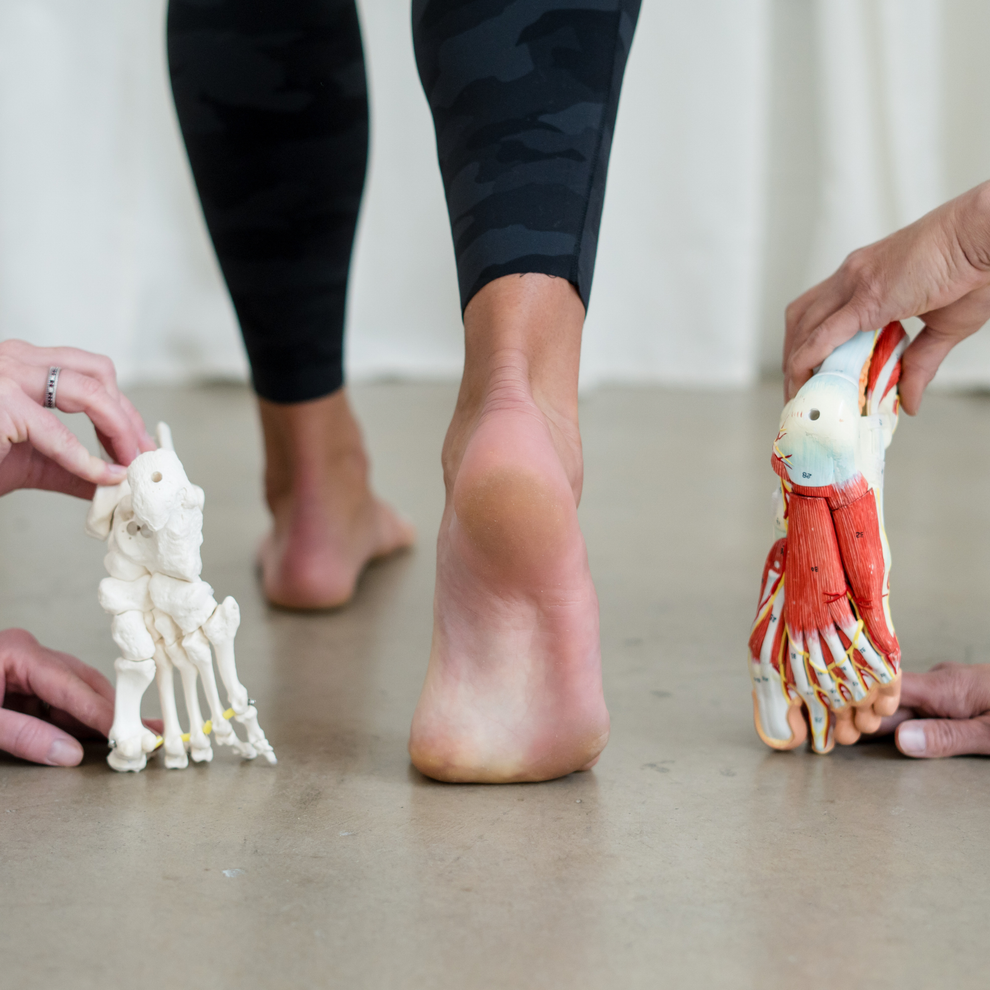 Fit Feet Program – Gait Happens