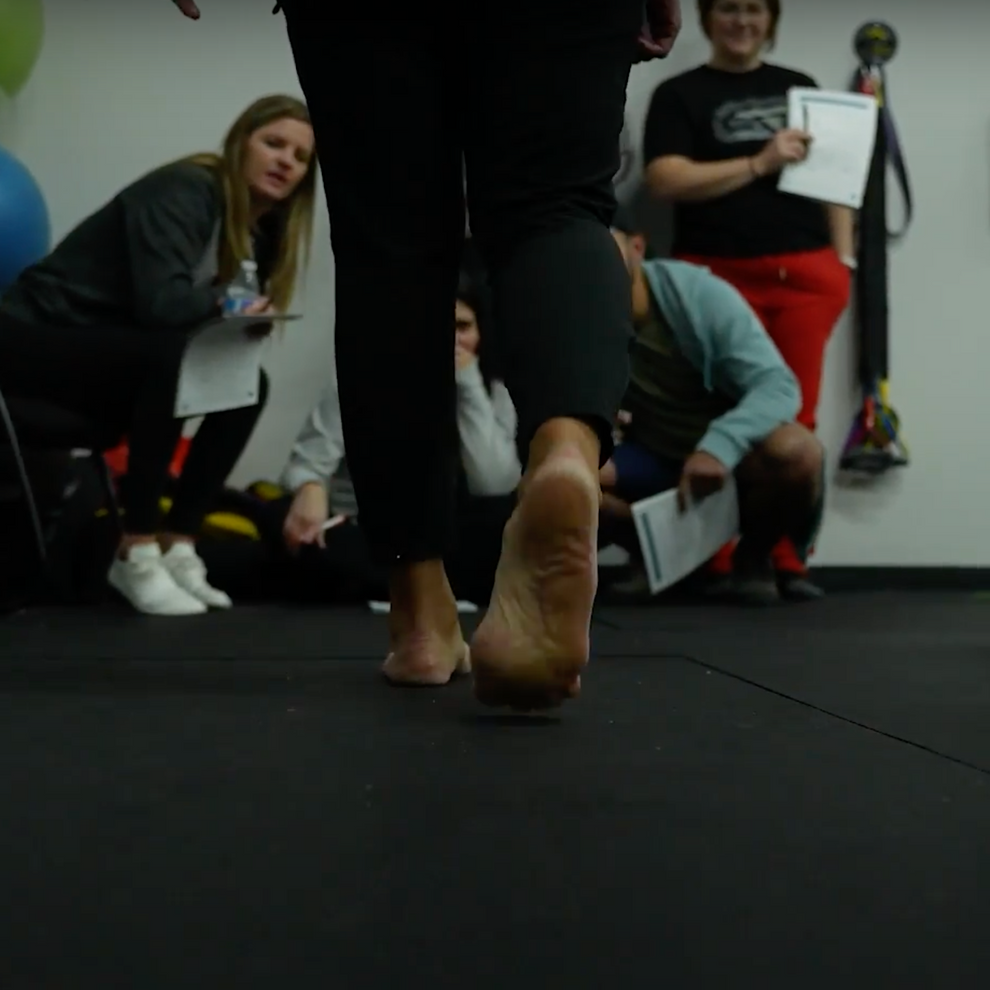 Functional Gait Assessment Level 1: In-Person Course – Gait Happens